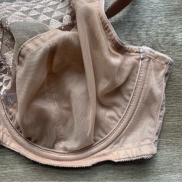 cleo | Intimates & Sleepwear | Cleo Panache Underwired Mesh Lace ...